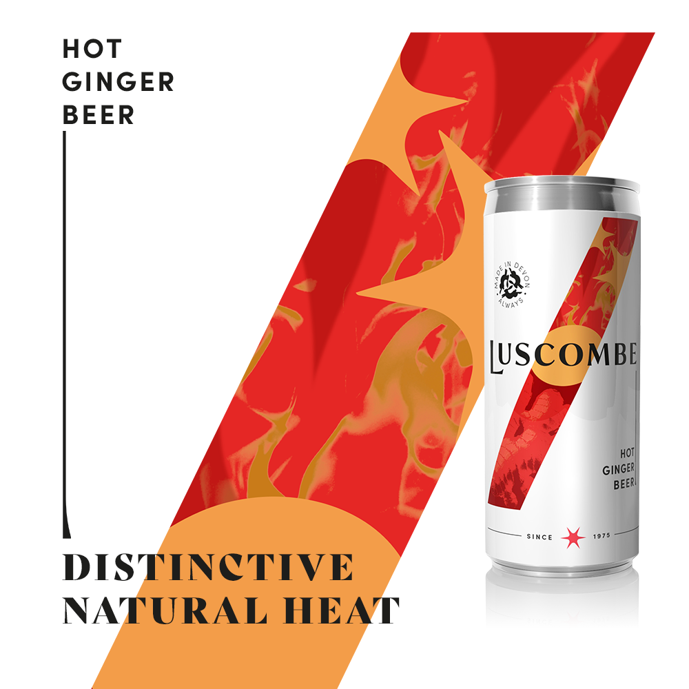 Organic Ginger Beer | Award-Winning | Luscombe Drinks – Luscombe Drinks Ltd