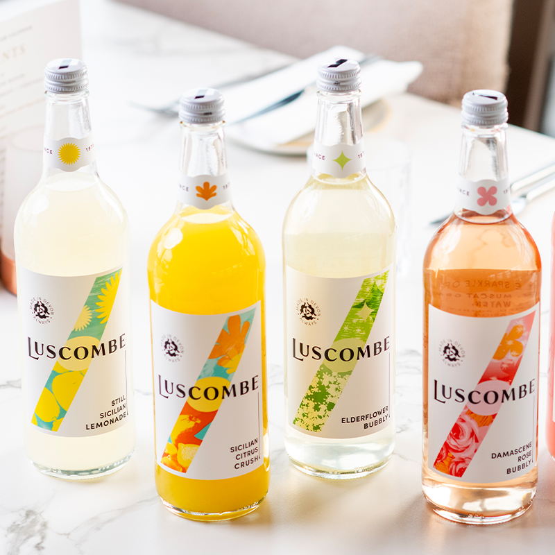 Luscombe Drinks | Large Assortment Pack – Luscombe Drinks Ltd