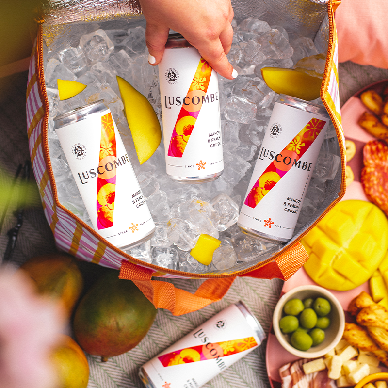Luscombe Drinks, Devon, England | Lemonade, Tonic Water, Ginger Beer ...