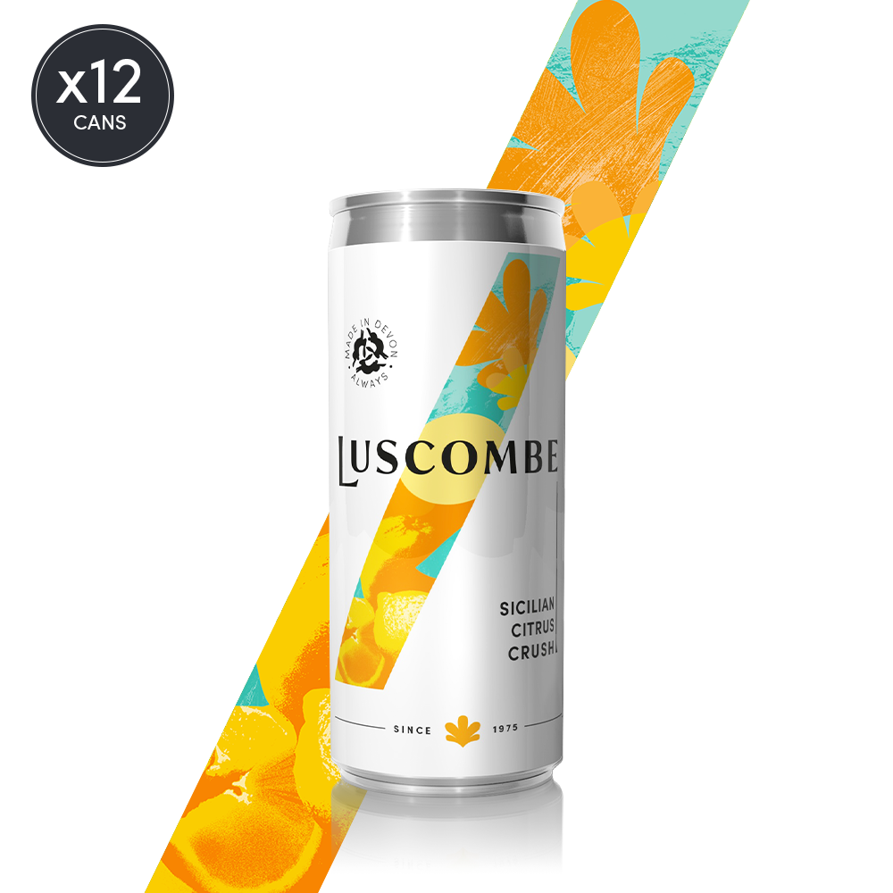 Organic Soft Drinks in Cans | Ginger Beer & More | Luscombe – Luscombe ...