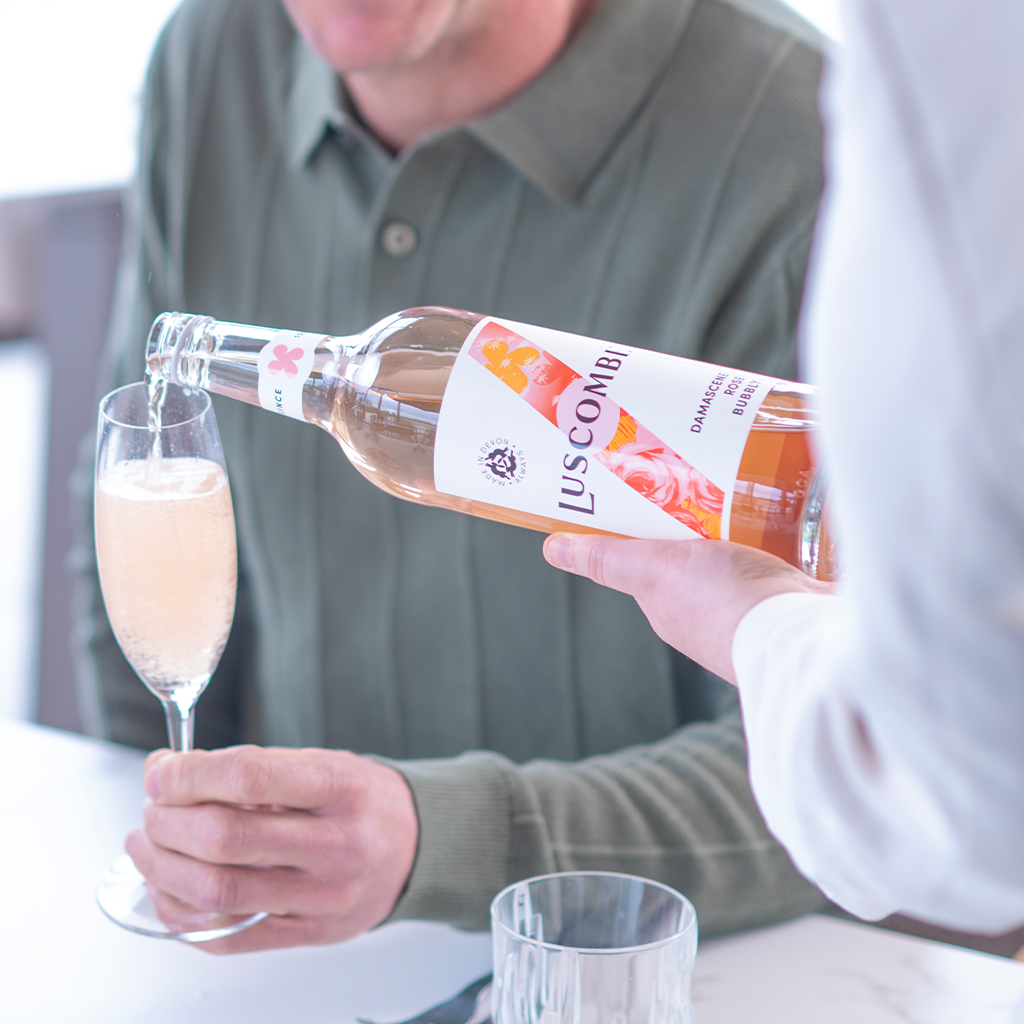 Luscombe Drinks | Large Assortment Pack – Luscombe Drinks Ltd