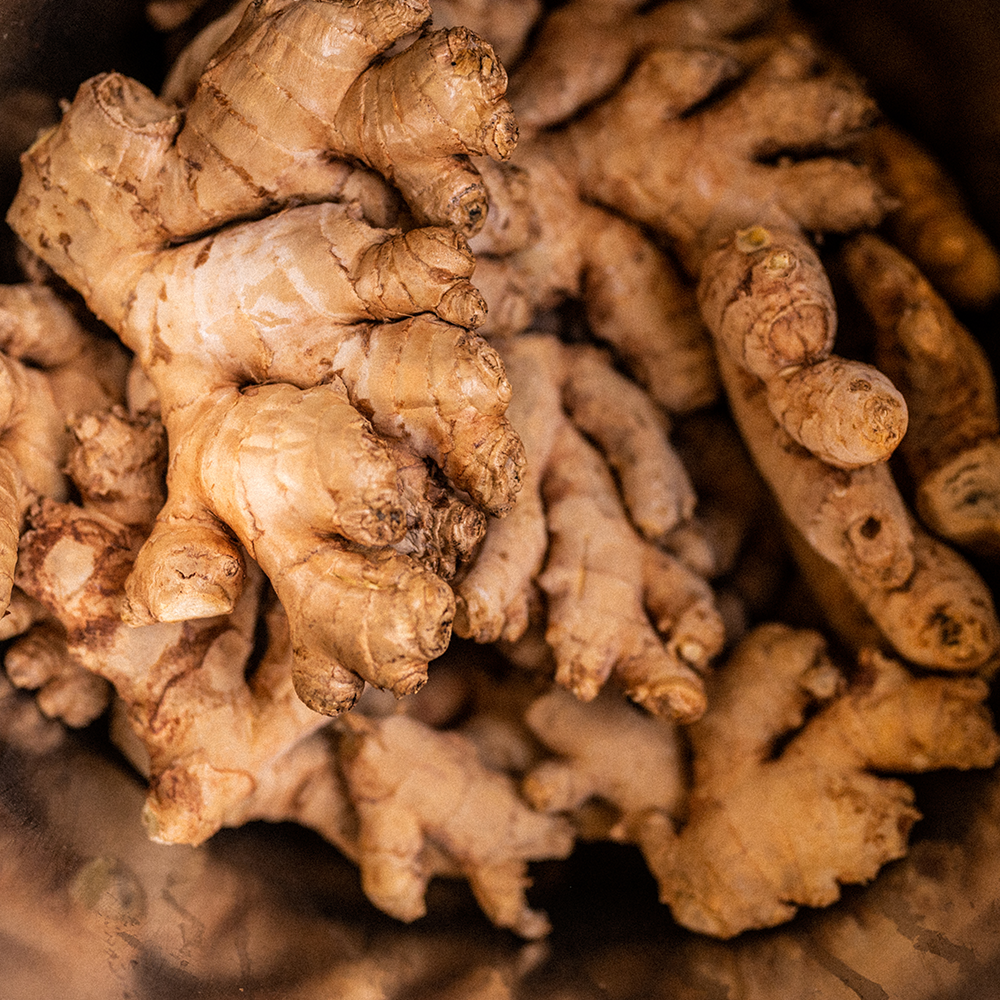 Luscombe Drinks | Taster Pack Selection – Luscombe Drinks Ltd