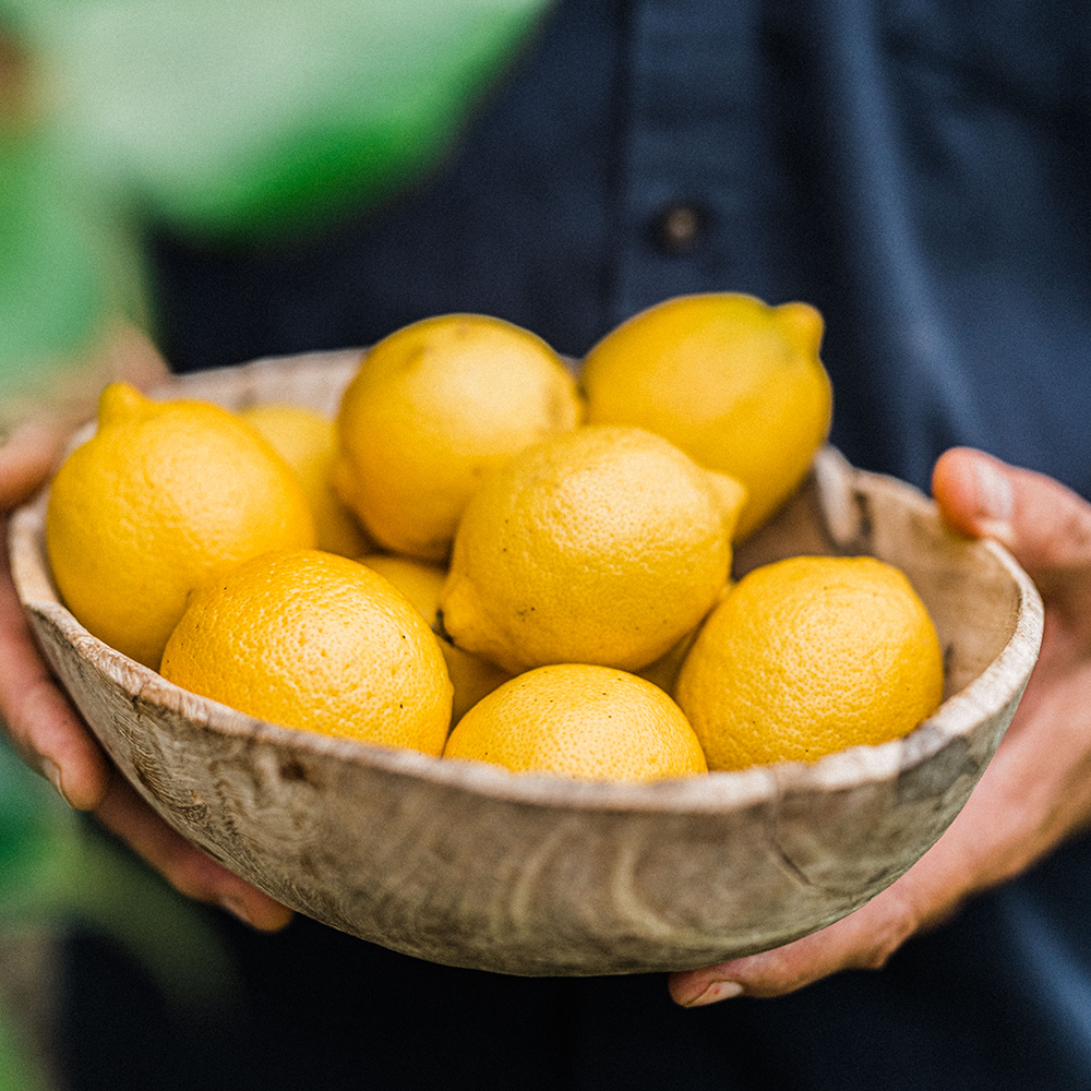 Luscombe Drinks: Grown up drinks with character – Luscombe Drinks Ltd