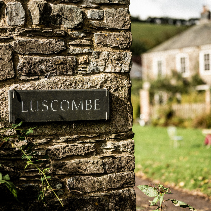 Our Story – Luscombe Drinks Ltd